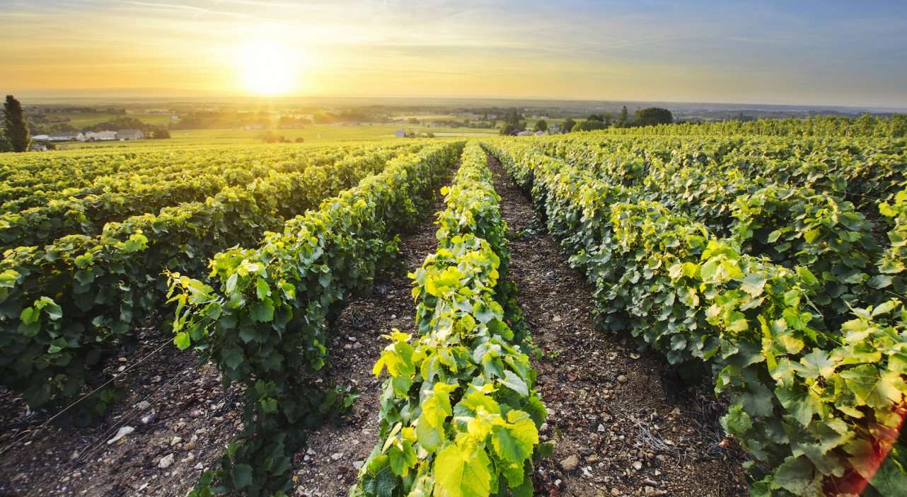 Luxury Culinary Vacations and Upscale Cooking Tours
